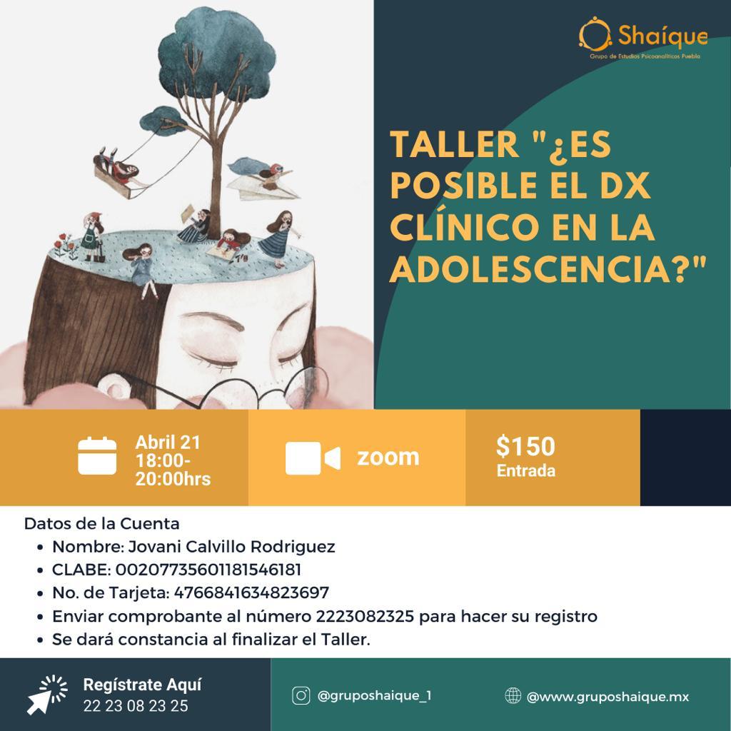 Taller: ¿Es posible el diagnóstico clínico en la adolescencia? – Grupo ...